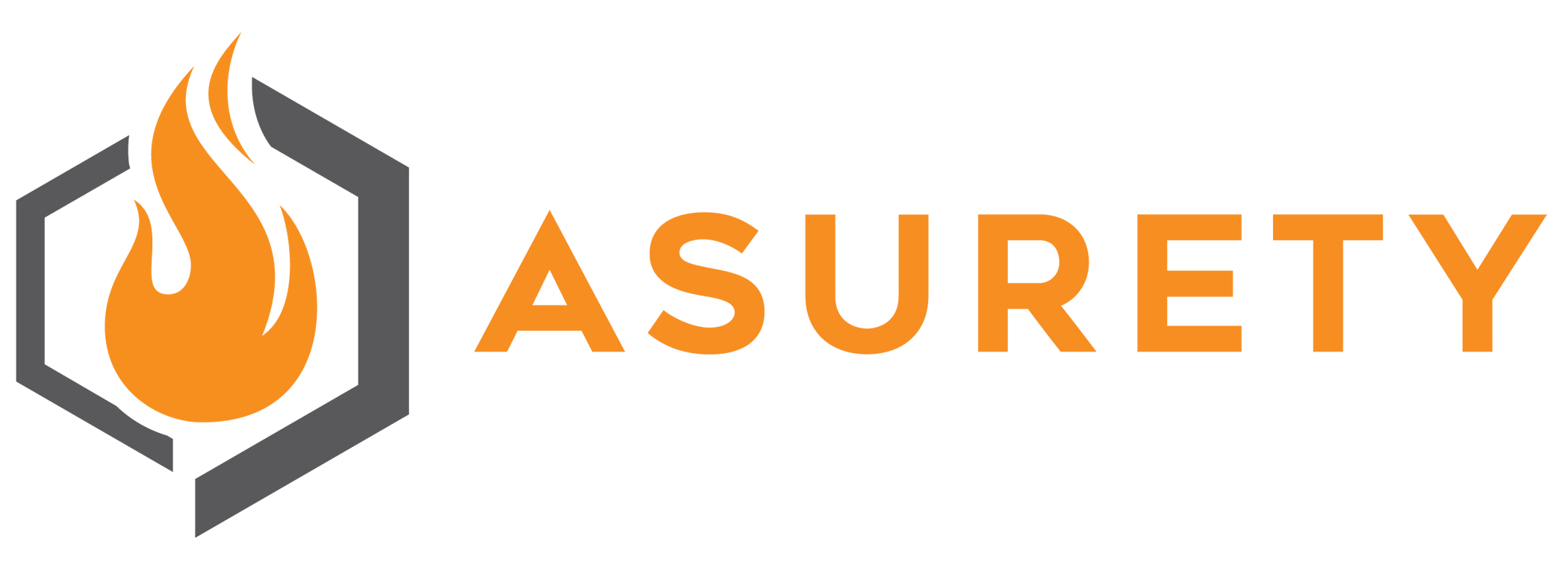 Asurety | Dryer Vent & Fireplace Inspections